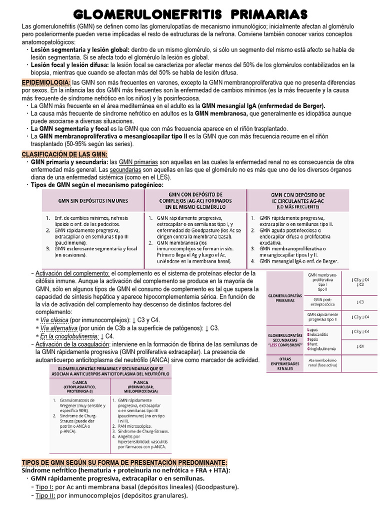 GLOMERULONEFRITIS PRIMARIAS amir | PDF