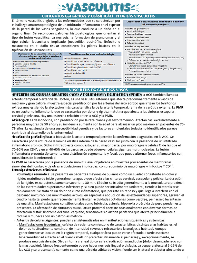 VASCULITIS | PDF | Especialidades Medicas | Enfermedades y trastornos