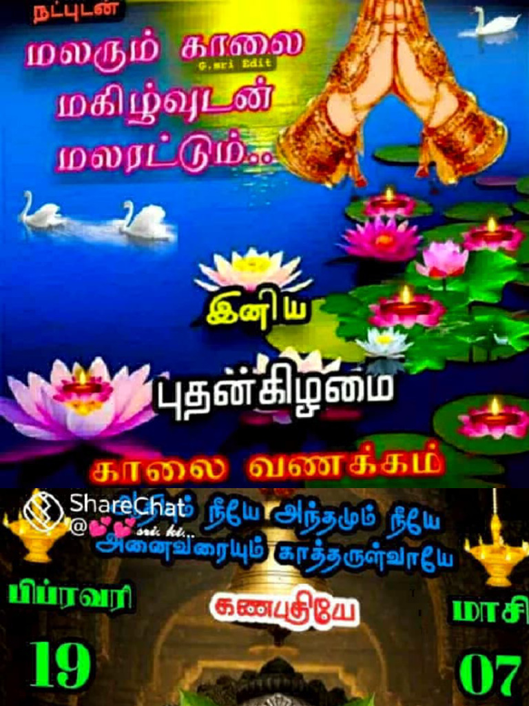 Adobe Scan 20 Feb 2025 | PDF