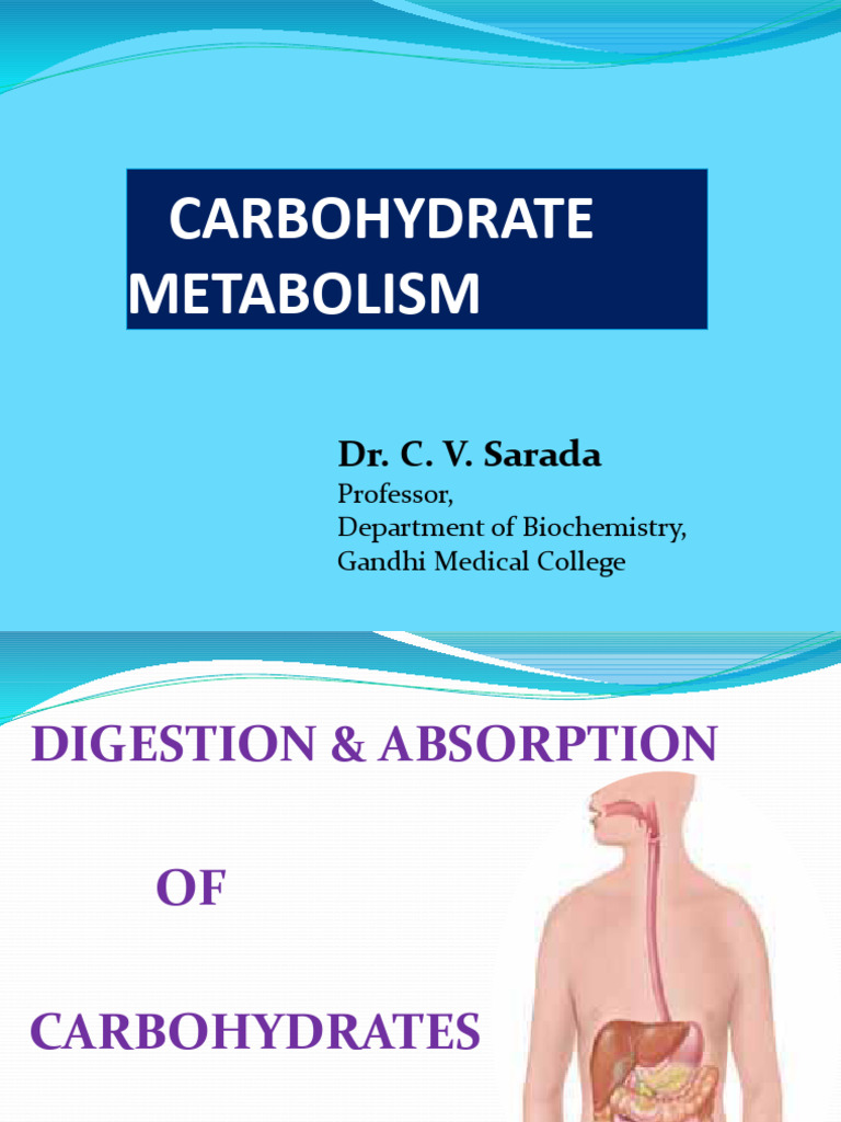 Digestion & Absorption of Carbohydrates (Autosaved) | PDF | Glucose ...