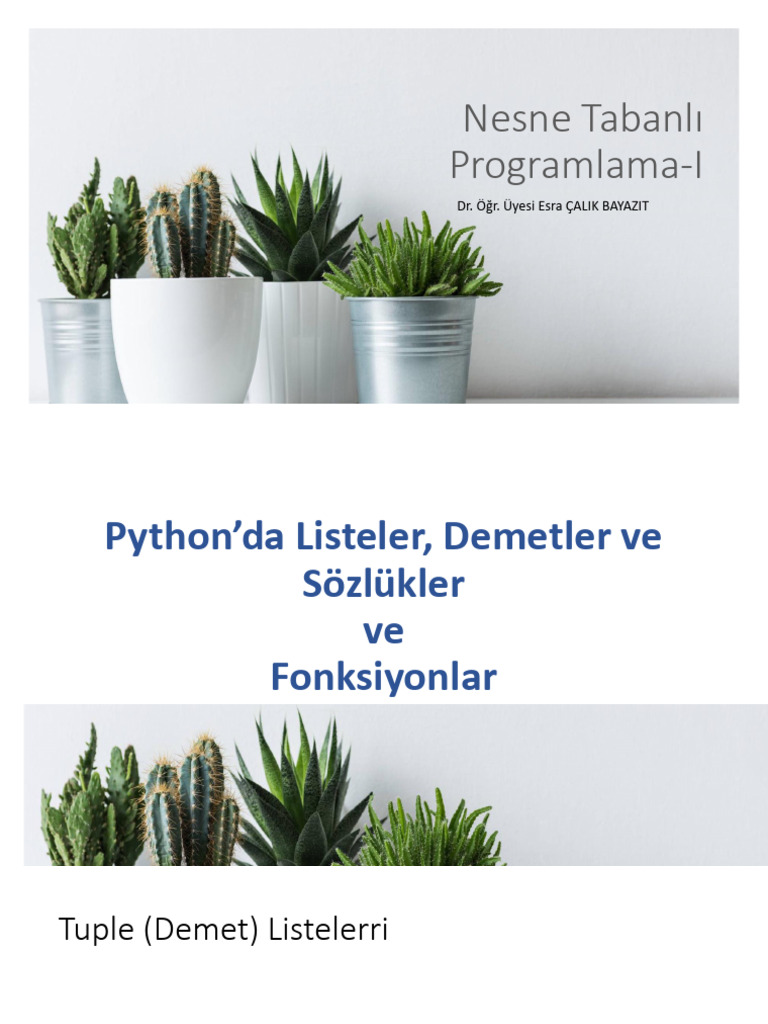 Nesne Tabanlı: Programlama-I | PDF