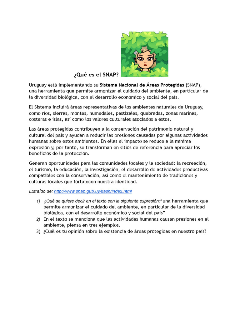 ¿Qué Es El SNAP | PDF