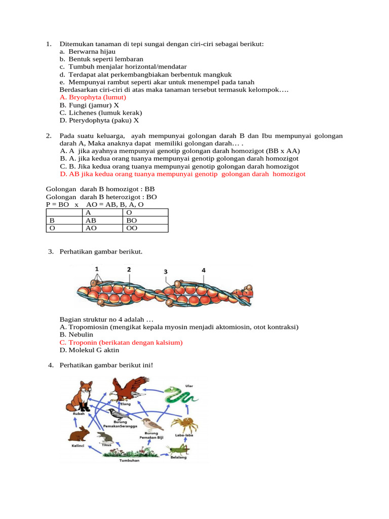 soal latihan masuk tarnus | PDF