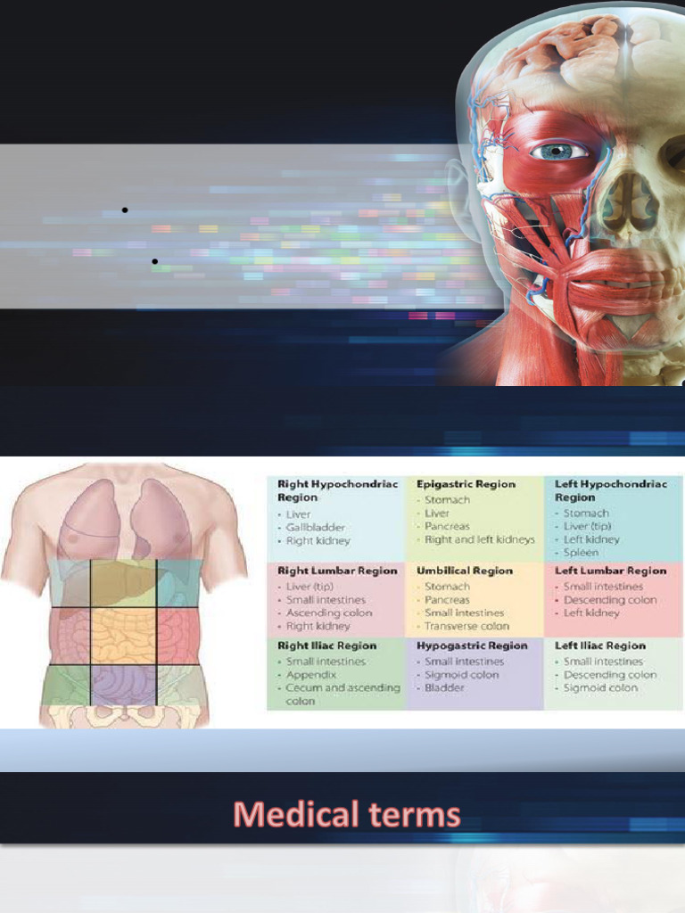 1-21-2025-Region+of+the+Thorax+and+Abdomen+and+Quadrants 2 | PDF ...