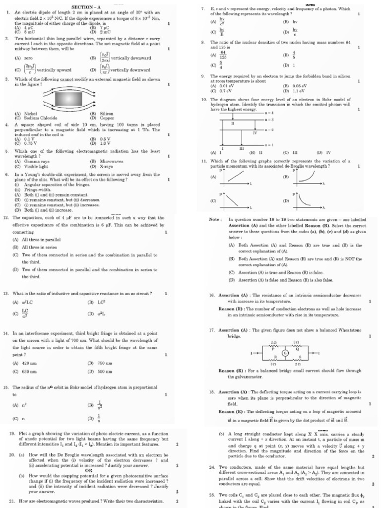 2023 PYQ With marking Scheme | PDF