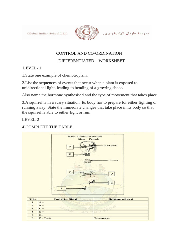 Differentiated - Controland Coordination - Worksheet | PDF