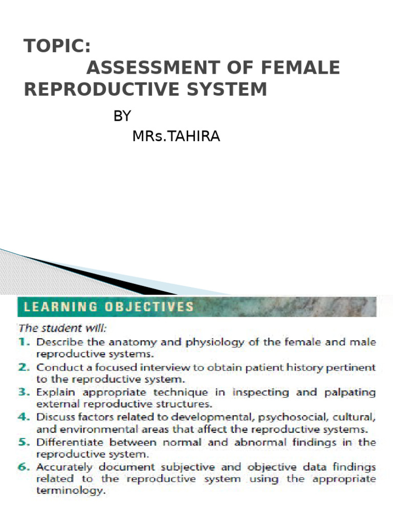 Female Reproductive System Assessment | PDF | Vagina | Labia