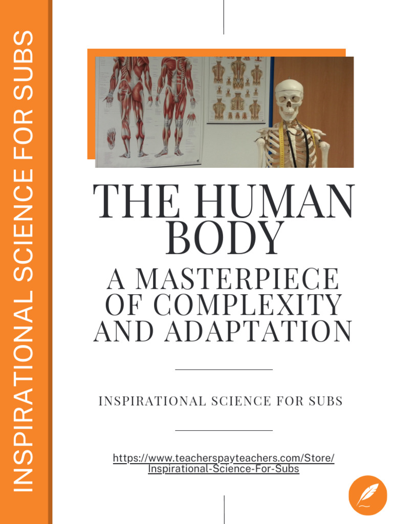 The Human Body: A Masterpiece of Complexity and Adaptation | PDF ...