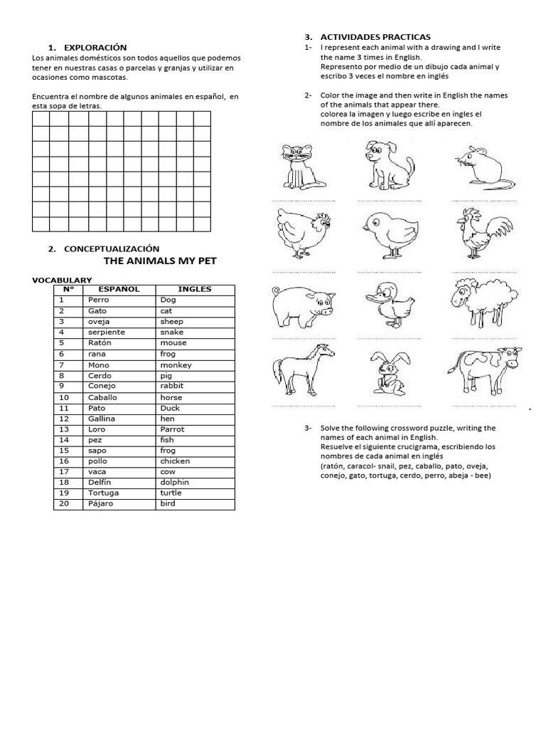 Actividades de Inglés con Animales | PDF | Etnobiología | Animales ...