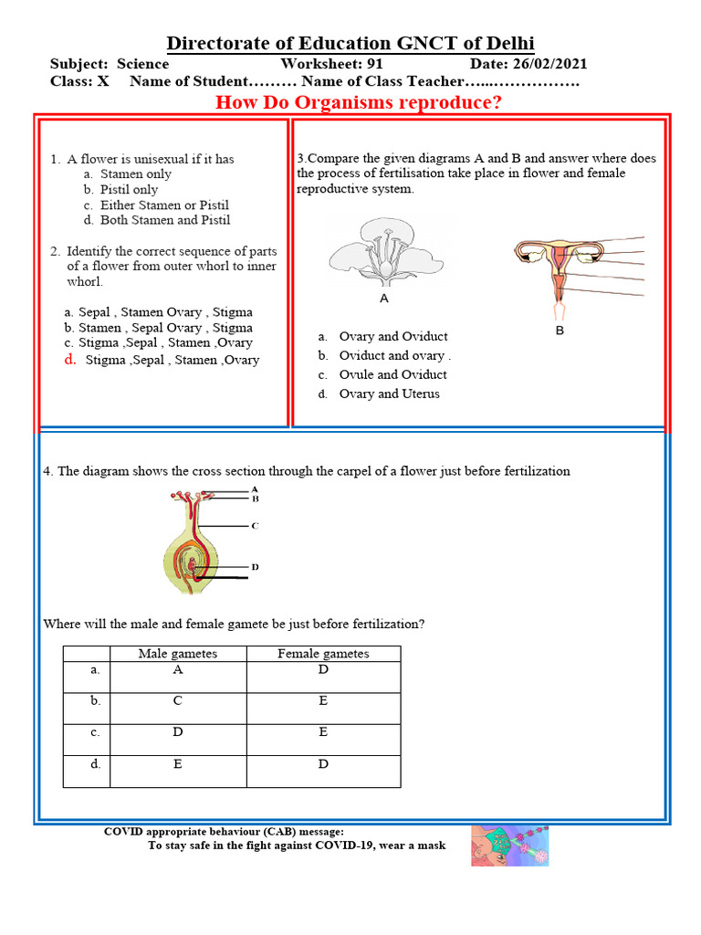 Chapter-11 Electricity Worksheet91E | PDF