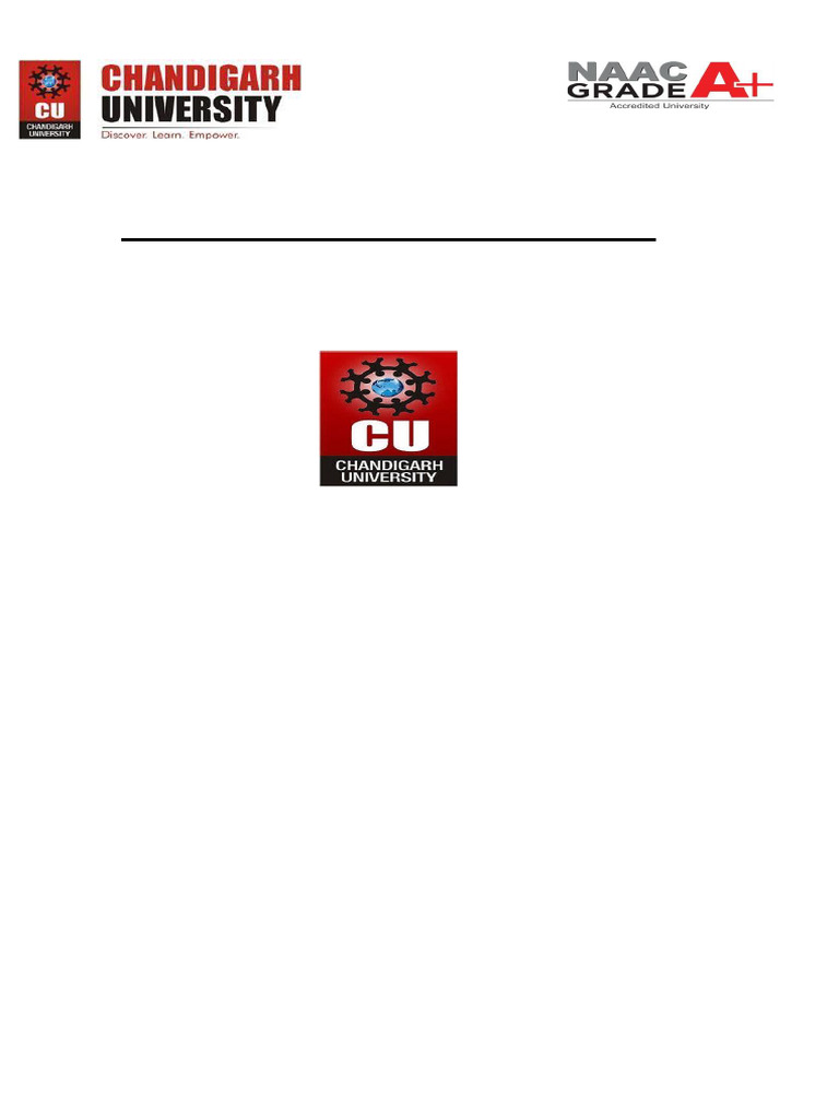 Advanced Programming Lab Report | PDF