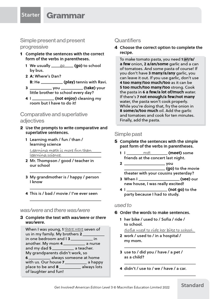 Grammar Standard Starter | PDF | Adjective | Pasta