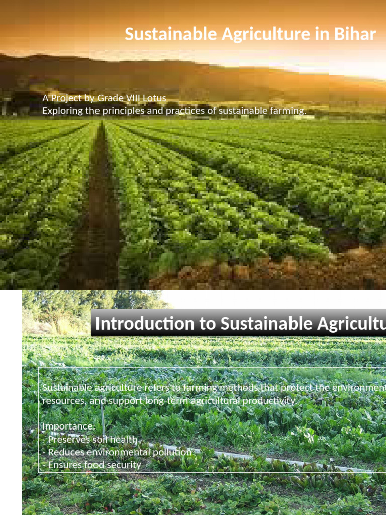 Art integrated project class 8 | PDF | Agriculture | Sustainable ...