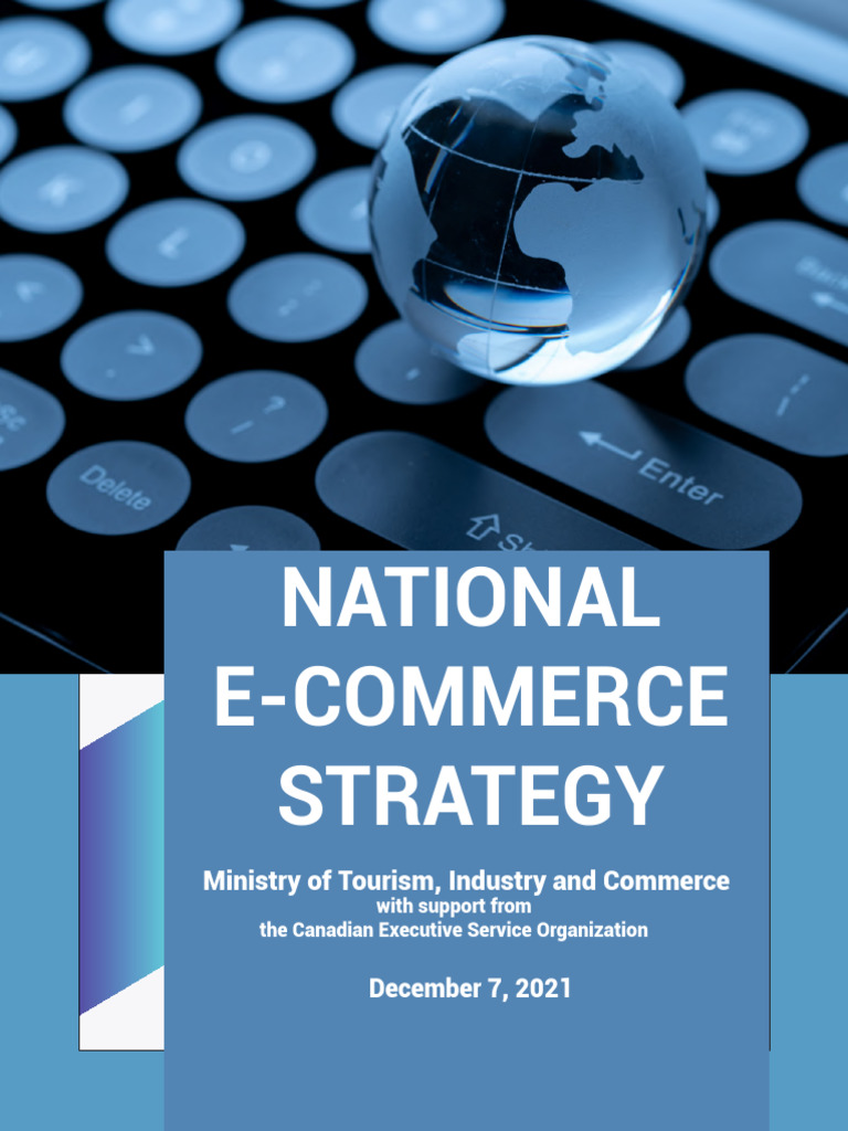 National E Commerce Strategy 2022 | PDF | E Commerce | Petroleum
