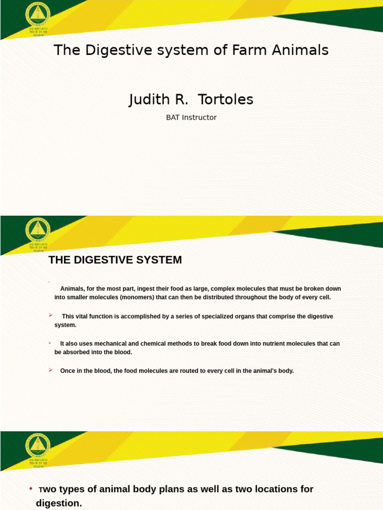 Farm Animal Digestive Systems Guide | PDF | Digestion | Ruminant