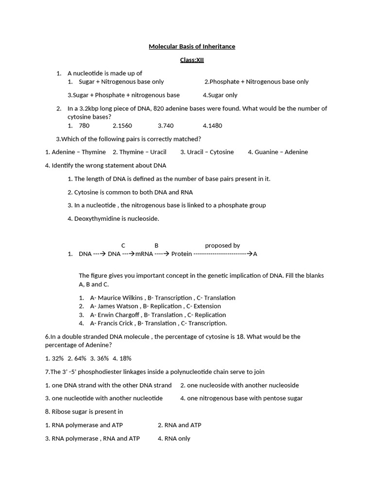 Molecular Basis of Inheritance Class:XII | PDF | Rna | Dna