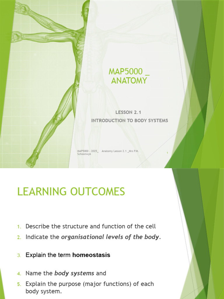 Anatomy 2025 - Lesson 2 - Introduction To Body Systems - Tagged | PDF ...