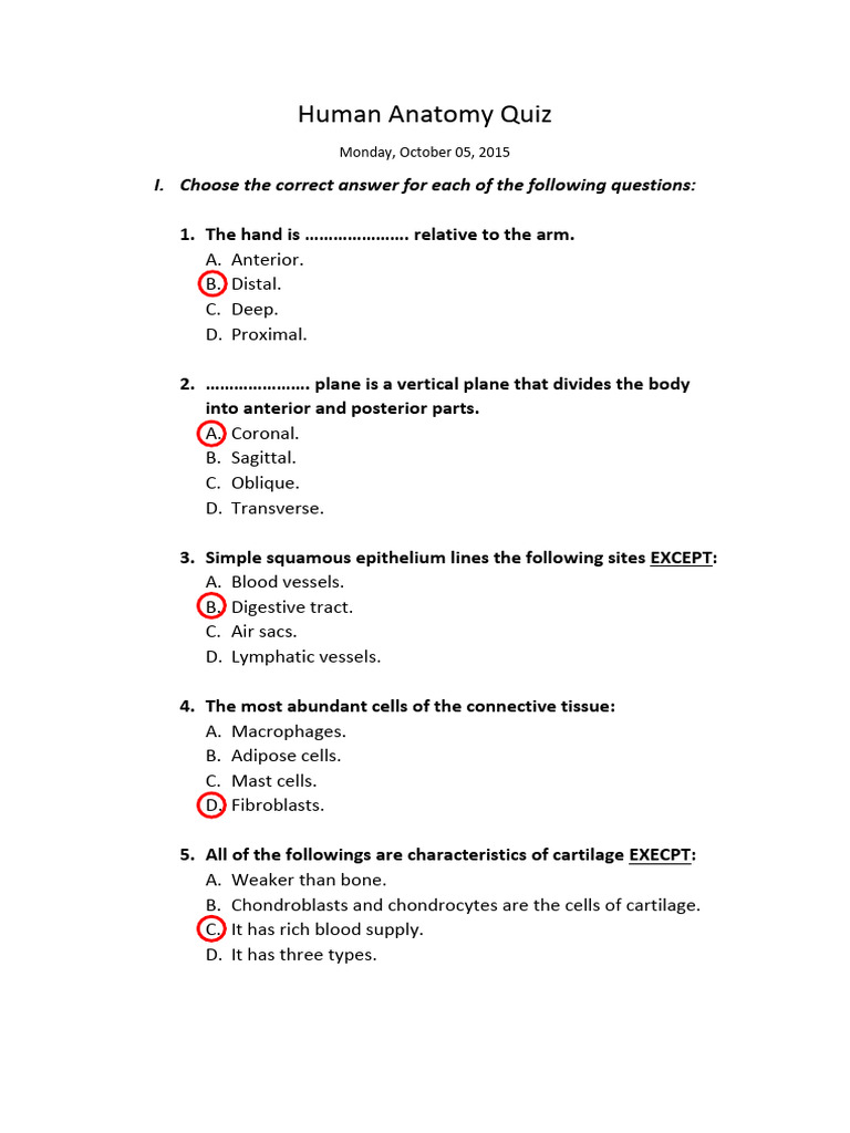 Human-Anatomy-Quiz | PDF