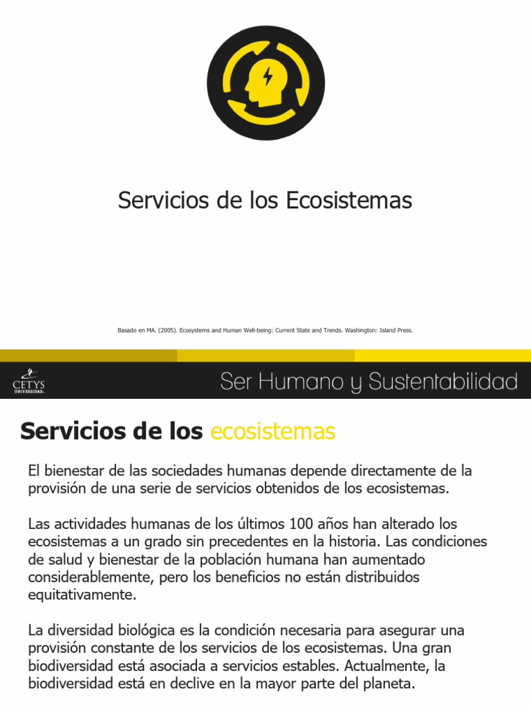 AA6S4. Presentación. Servicios de los Ecosistemas | PDF | Biodiversidad | Suelo