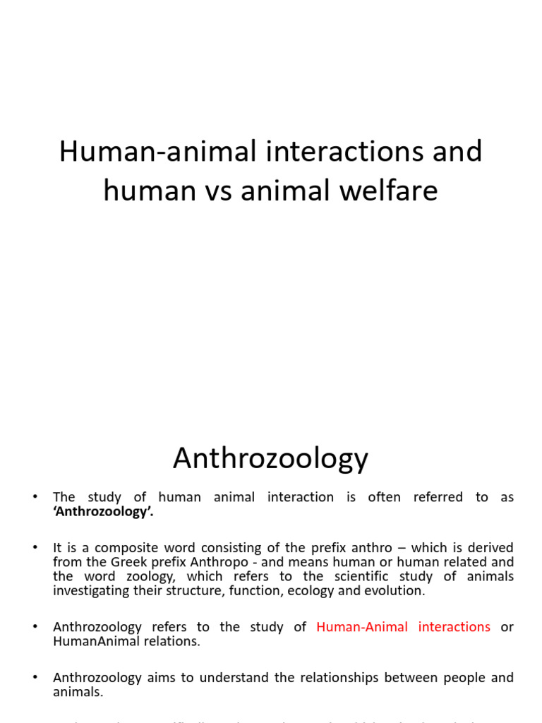 Human-Animal Interaction and Welfare Insights | PDF | Animal Welfare | Pet