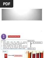 Biochemical Test Chart | PDF | Microbiology | Prokaryote