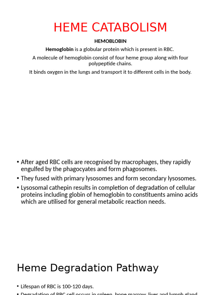 HEME CATABOLISM (Biochemistry) | PDF | Hemoglobin | Biochemistry