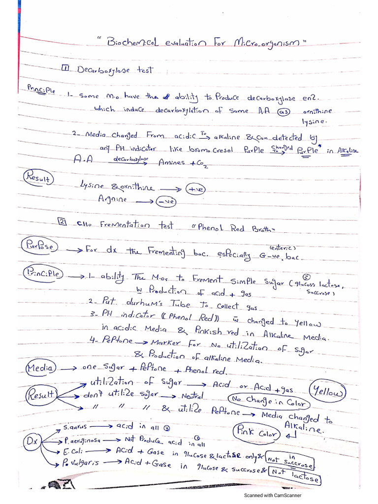 Practical Biochemistry Handwritten | PDF