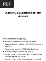 Slaughtering Procedures for Livestock | PDF | Animal Slaughter ...