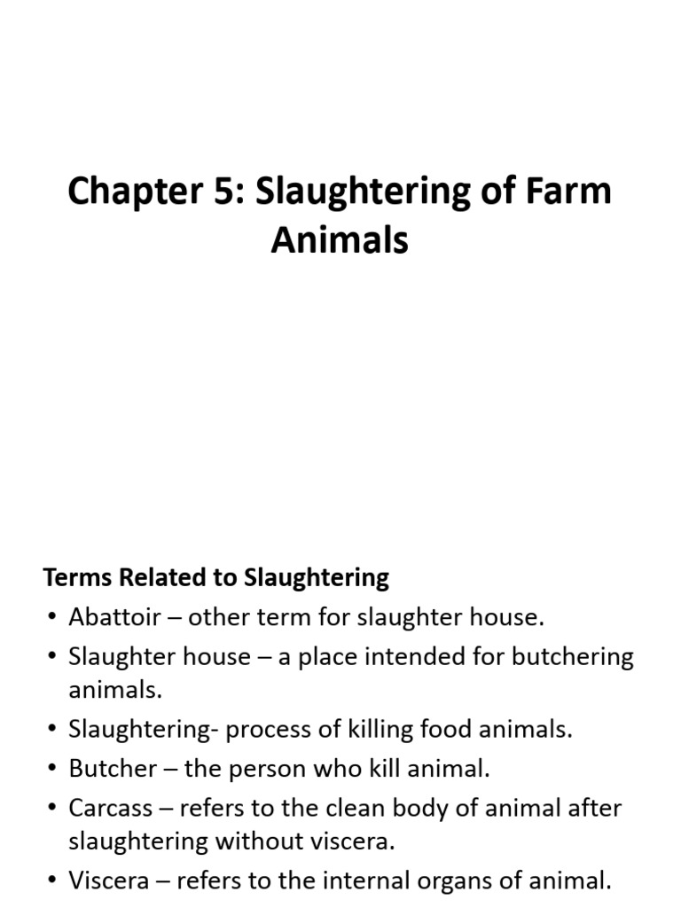 Slaughtering of Farm Animmals | PDF | Animal Slaughter | Slaughterhouse
