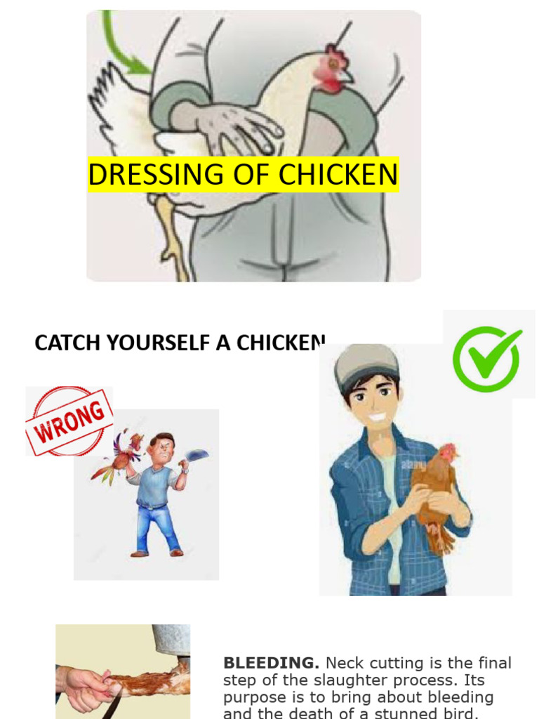 Dressing of Chicken | PDF | Poultry