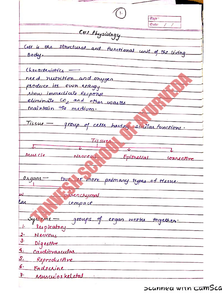 Sharir Kriya (Modern Part) - Paper 2 | PDF