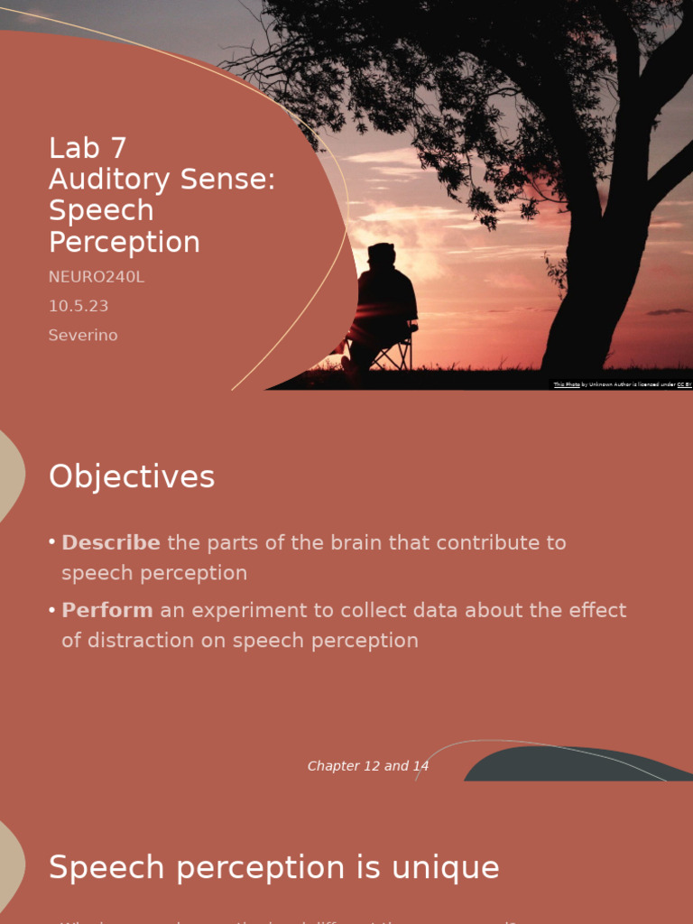 Auditory Sense: Speech Perception Lab | PDF | Speech | Auditory System