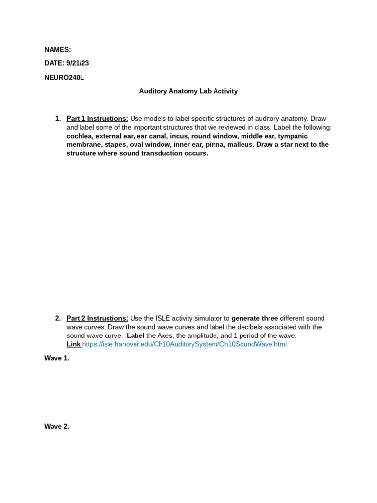 Auditory Anatomy Lab Activity Guide | PDF