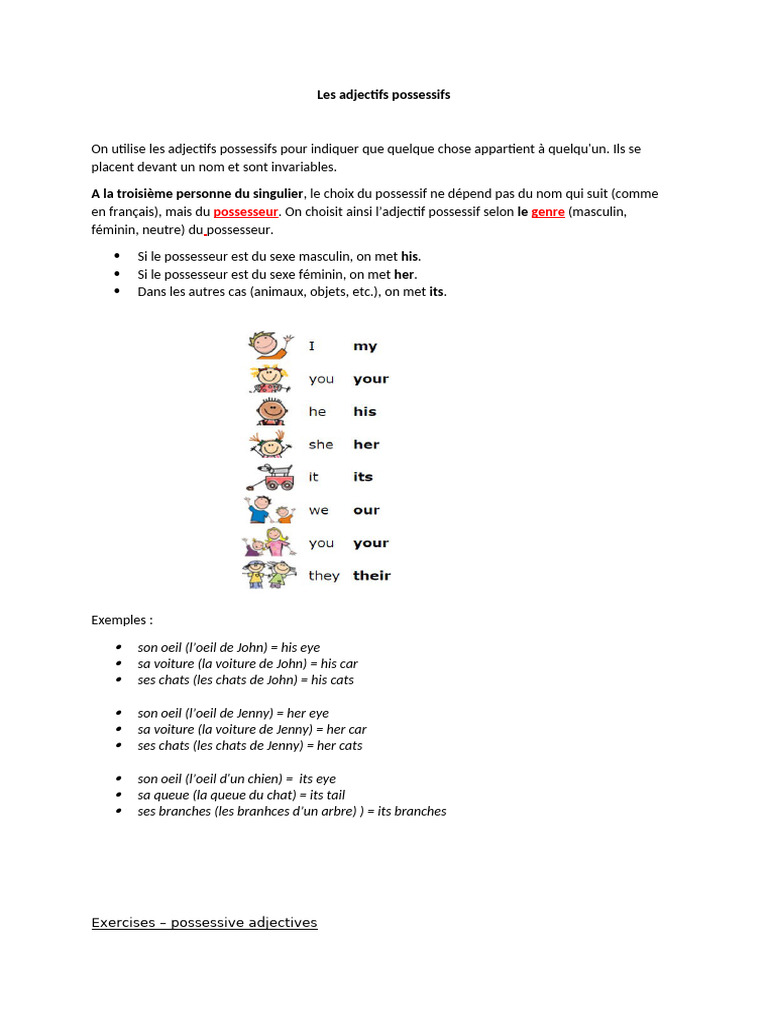 6 - Leçon - Les Adjectifs Possessifs | PDF