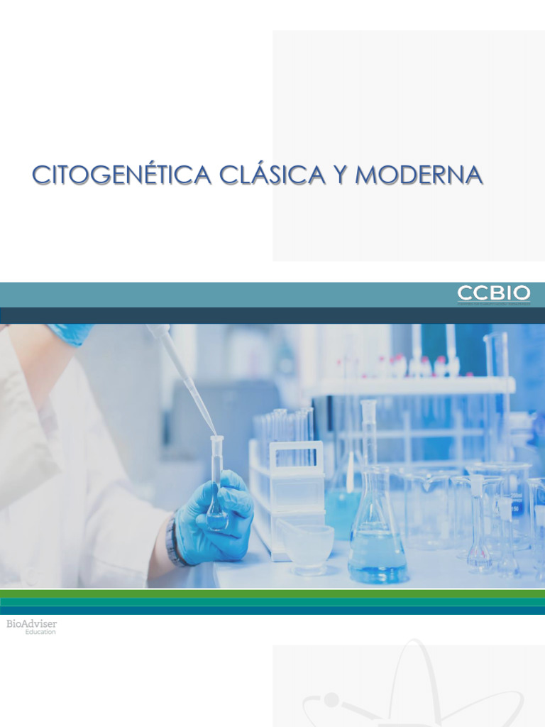 TECNICAS DE BANDEO | PDF | Cromosoma | Citogenética