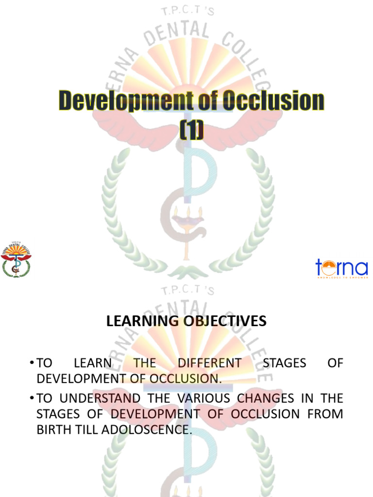 Development of Occlusion 1 | PDF | Dentistry | Primate Anatomy
