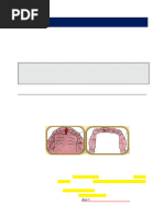 Directional Terms Worksheet | PDF | Anatomical Terms Of Location | Elbow