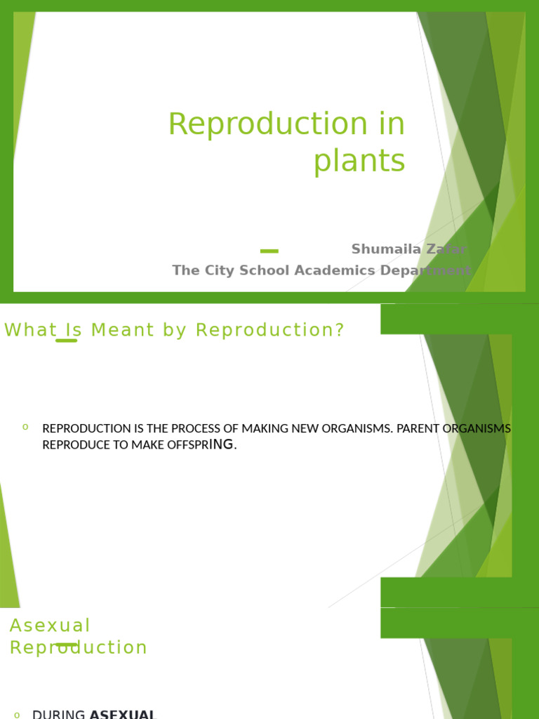 Reproduction in Plants for Grade 6 | PDF | Pollination | Flowers