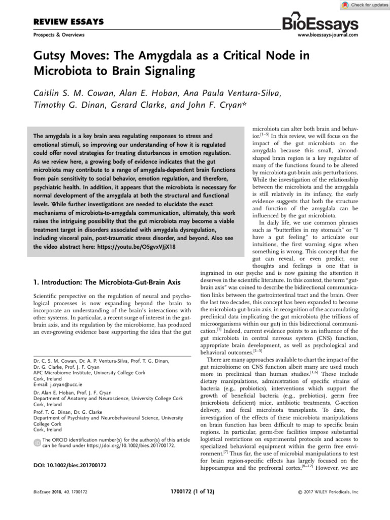 BioEssays - 2017 - Cowan - Gutsy Moves the Amygdala as a Critical Node ... BioEssays - 2017 - Cowan - Gutsy Moves the Amygdala as a Critical Node ...