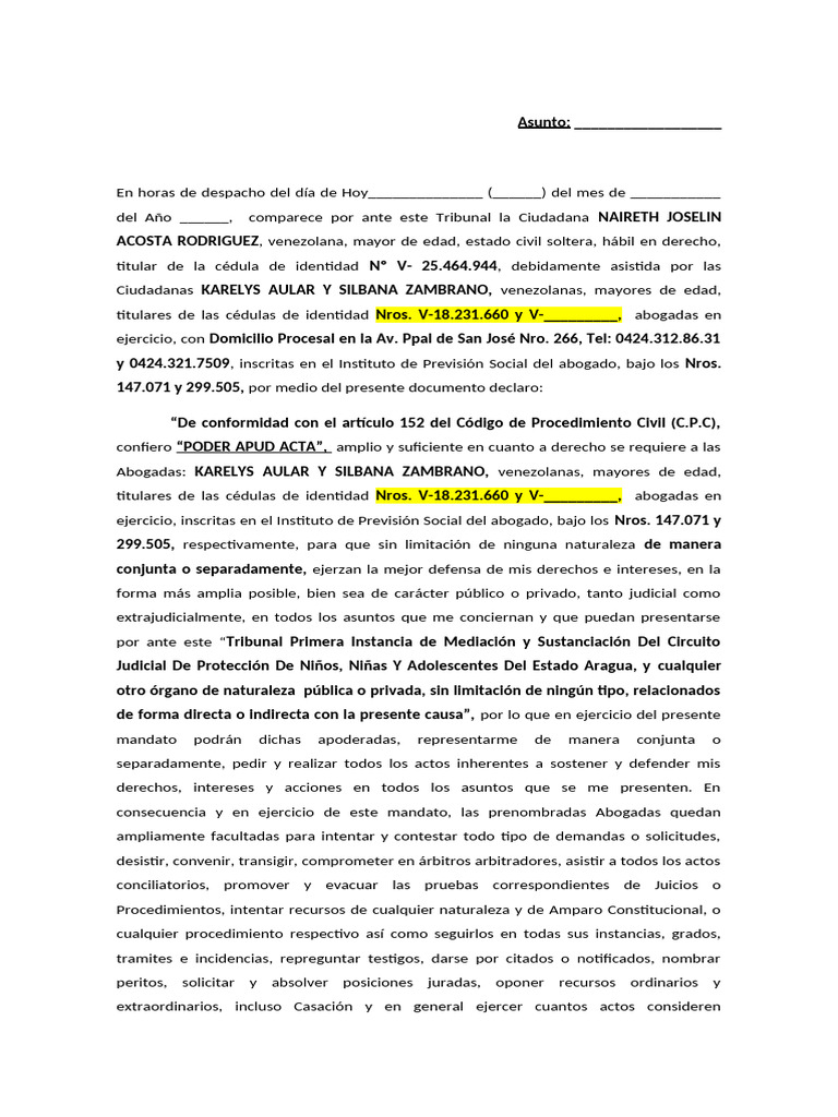 PODER APUD ACTA Naireth | PDF | Abogado | Procedimiento Civil