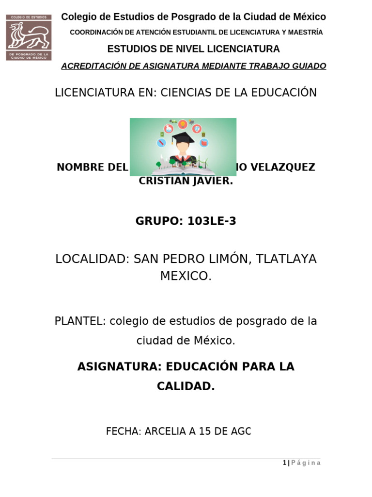 Calidad Educativa. Bruno 1. | PDF | Calidad (comercial) | Enseñando