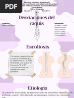 Defectos Posturales y su Clasificación | PDF | Escoliosis | Vértebra