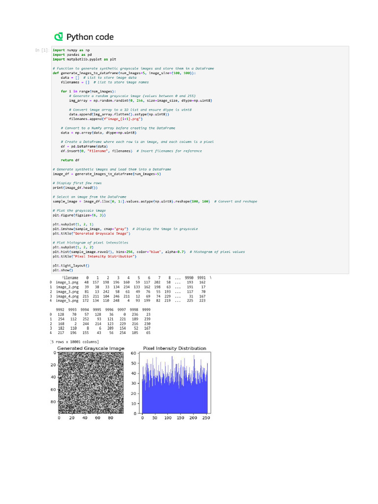 20250131_imagen_dataframe | PDF