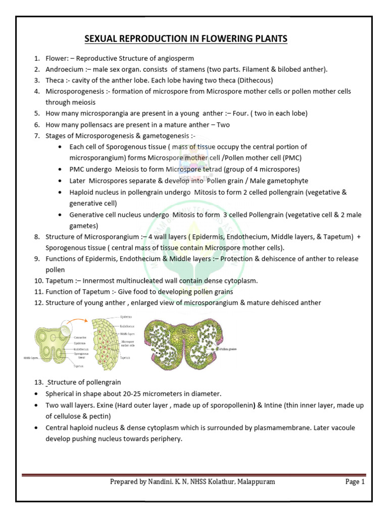 Hsslive Xii Botany Short Notes Nandini 2025 | PDF | Restriction Enzyme ...