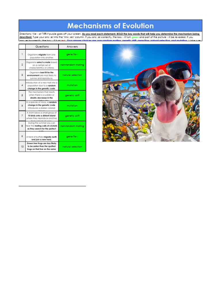 Copy of 8 - Mechanisms of Evolution Mystery Picture (BLANK) - Sheet1 | PDF
