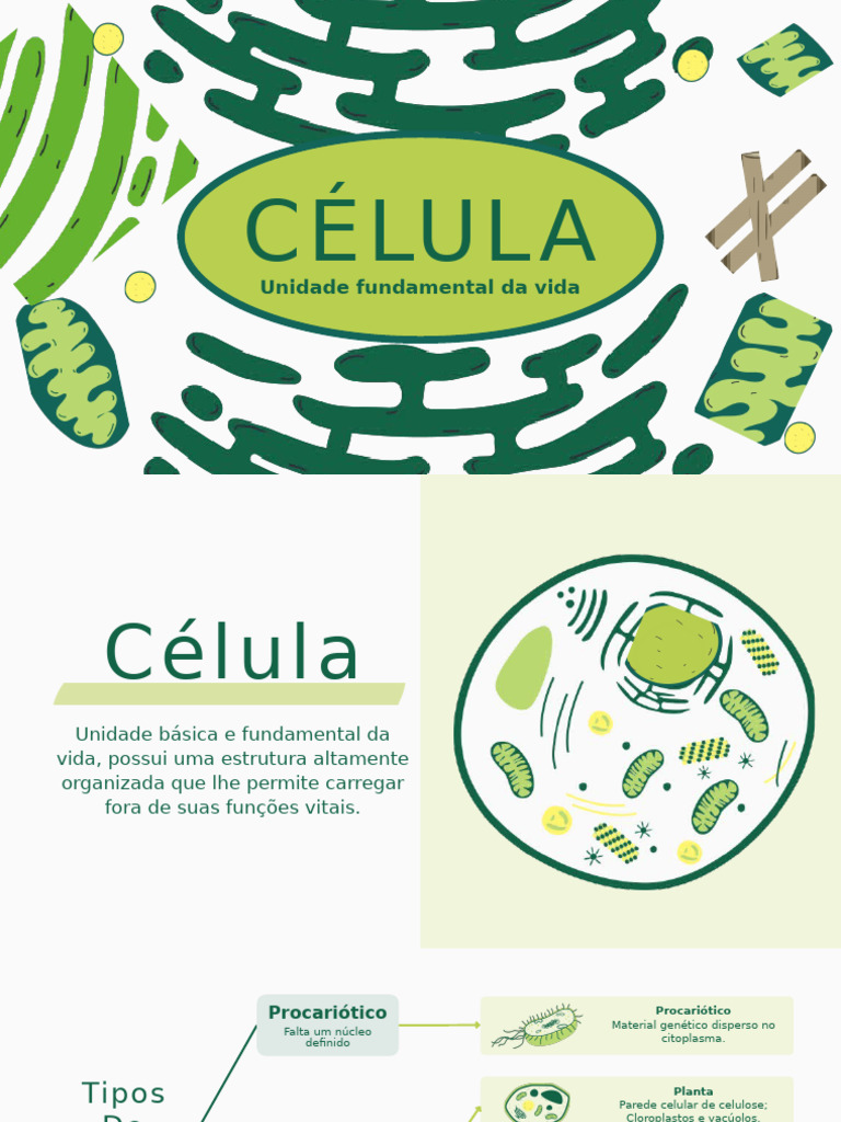 Biology Cell Organelles Presentation in Green White Illustrative Style ...