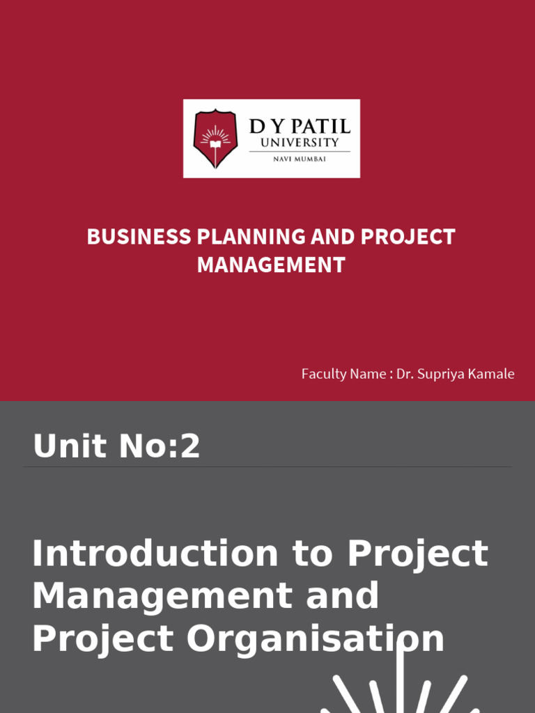 BBA SEM 6 Project Organisation | PDF | Organizational Structure | Business