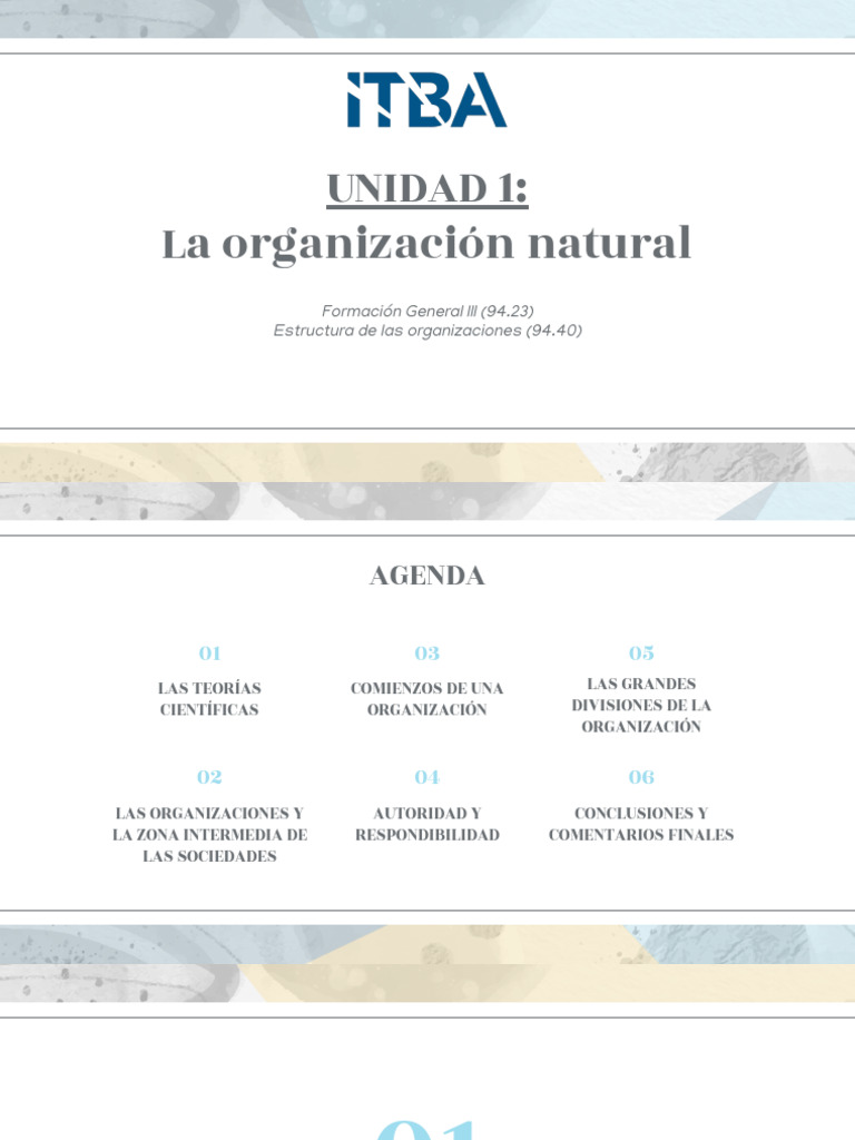 Unidad 1 - La Organización Natural | PDF | Sociología | Burocracia