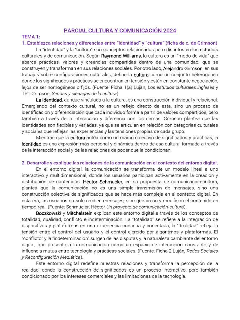 Identidad, Cultura y Comunicación Digital | PDF | Opinión pública ...
