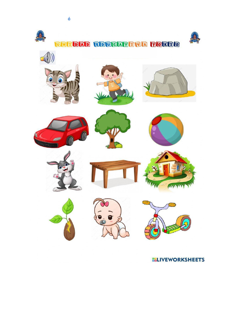 Lamina Seres Vivos e Inertes | PDF